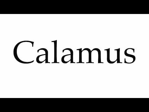 How to Pronounce Calamus