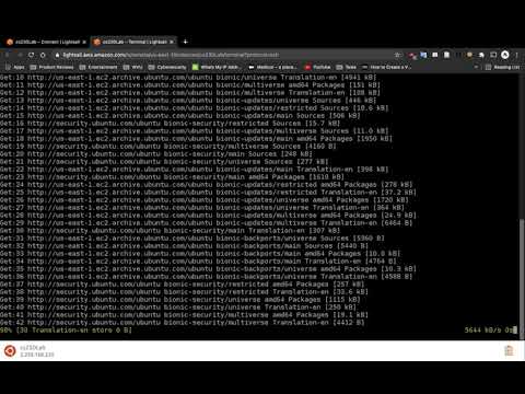 AWS Form N-1 2023 - Printable Blank PDF Online