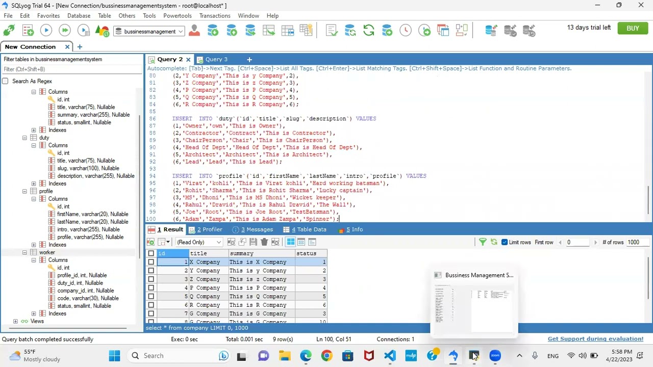 DBMS Project Using SQL & Python