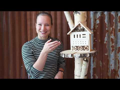 Houten insectenhotel