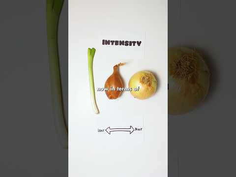 Onion vs. Shallot vs. Scallion | What’s the Difference? #cooking #food