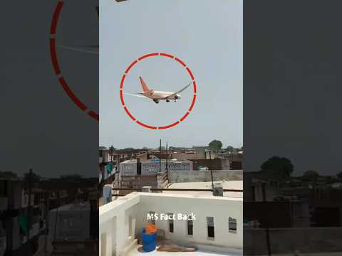 Ahmedabad Plane Crash Lone Survivor