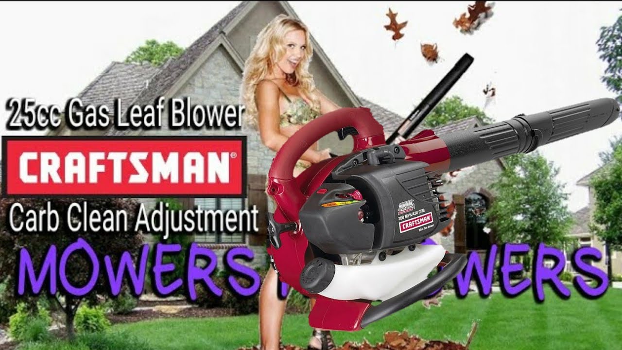 Craftsman 25cc Gas Leaf Lower throttle bogs down How to Carb Clean Adjustment DIY fix