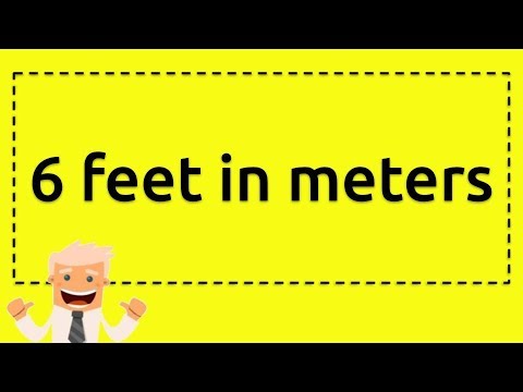 6 feet in meters