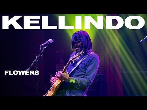 Boarded Up Music | Kellindo - When Flowers Could Dance