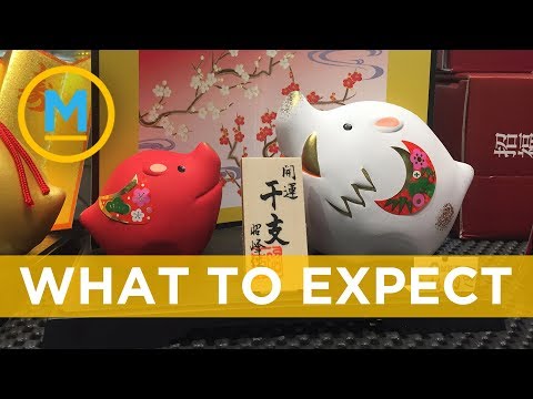 Here's what your Chinese zodiac means during the Year of the Pig | Your Morning