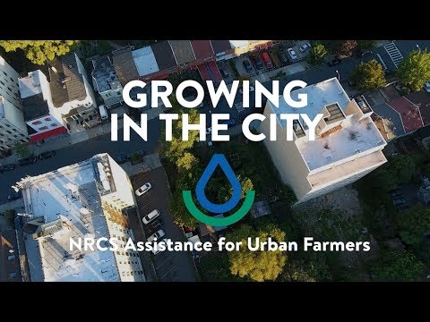 NRCS: Urban Farming