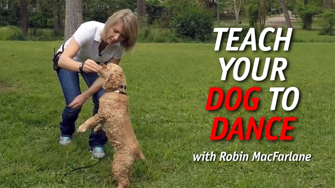 Want to Dance with Your Dog? Here's How!