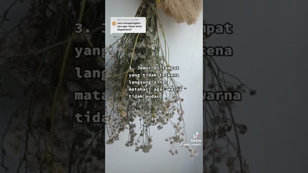 Cara Mengawetkan Bunga Kering Agar tahan lama