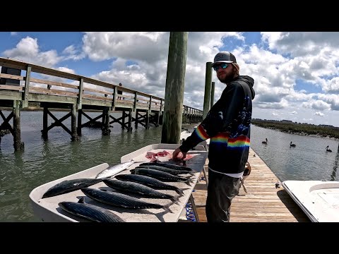 I went on a myrtle beach fishing charter and caught my first one!!!