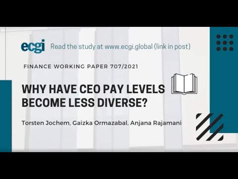Why Have CEO Pay Levels Become Less Diverse?
