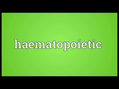 Haematopoietic Meaning