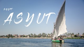 Egypt Asyut Shopping: A Guide to the Best Shopping Experiences in the Ancient City | Gems.Travel
