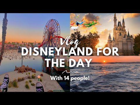 Disneyland California (WITH 14 PEOPLE!!!) || Ride Height Requirements + Pro Tips!