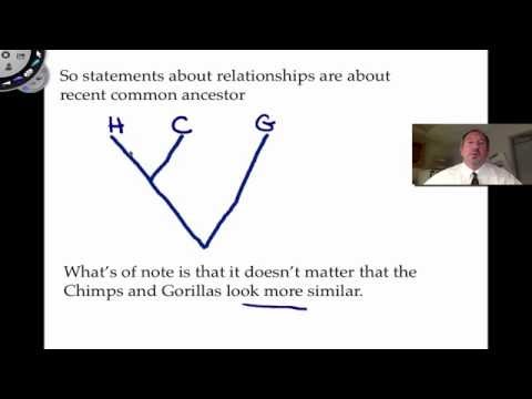 Cladistics