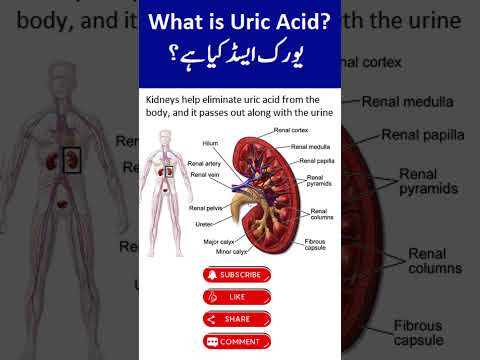 What is Uric Acid | Urdu | Hindi | Shahbaz Qamar