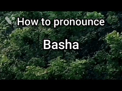 How to Pronounce Basha
