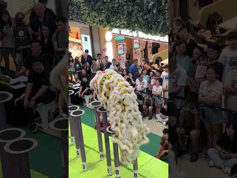Singapore Shui Lian Gong Dragon & Lion Dance Troupe 首届利达广场新马南狮高桩锦标赛