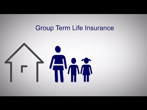 NCFlex Group Term Life Insurance