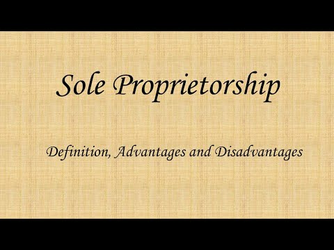 Sole Proprietorship - Definition, Advantages and Disadvantages
