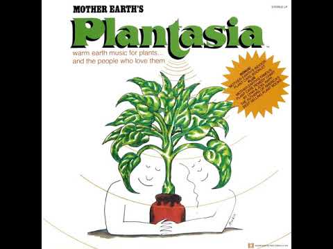 Making Music With Plants - How to Get Your Plants to Make Sounds