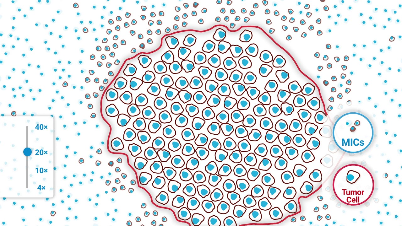 Applying the 20X Rule for Scoring CPS - A Precision Pathology Training Video