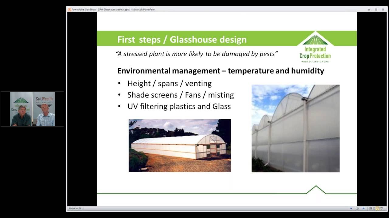 Managing insect pests in greenhouses