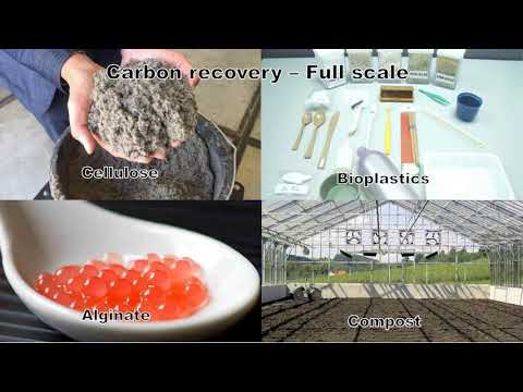 Circular economy in the Belgian Water Sector - Francis Meerburg