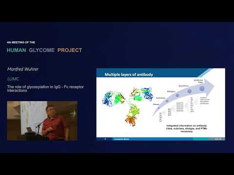 Manfred Wuhrer - The role of glycosylation in IgG - Fc receptor interactions