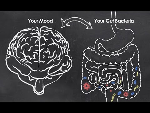 [Webinar Replay] Mental Health & Microbes: Can Your Gut Bacteria Affect Your Mood?