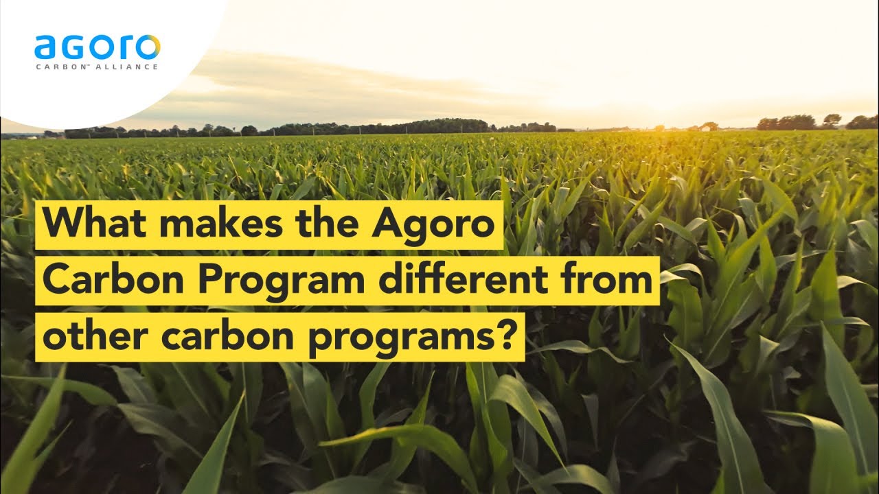What Makes the Agoro Carbon Program Different? - Agoro Carbon Alliance