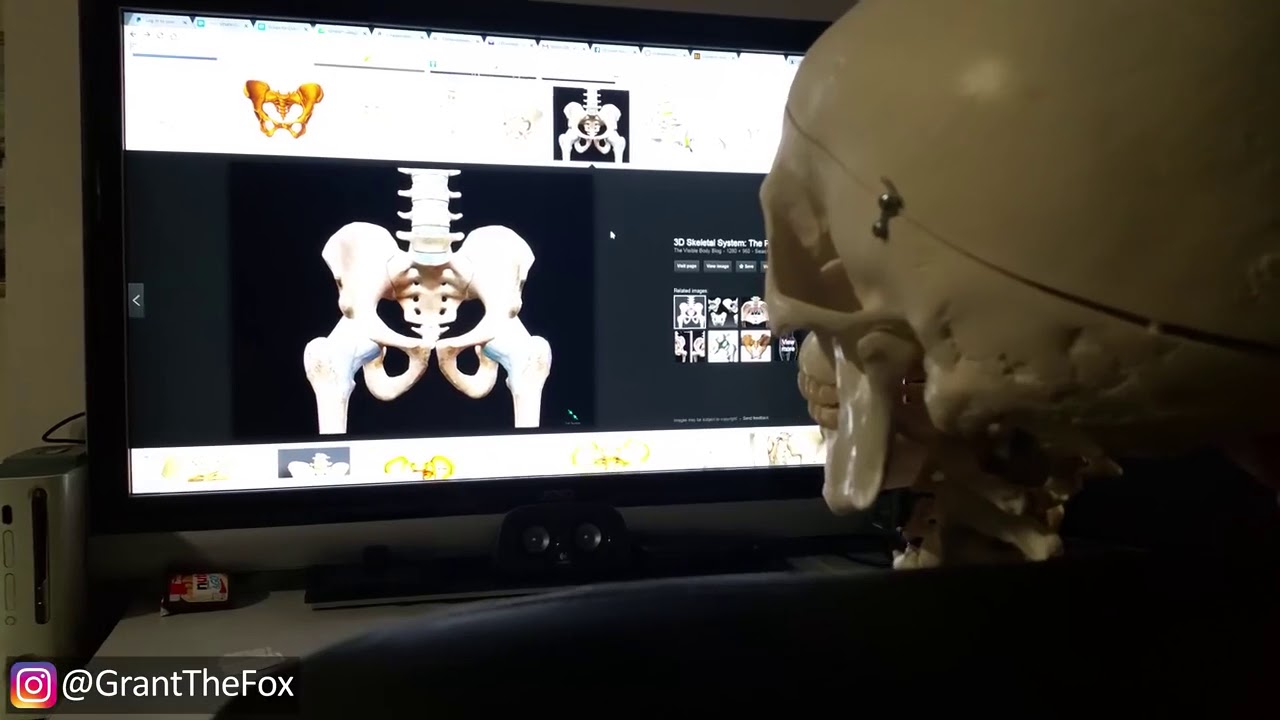 Skeleton Nut