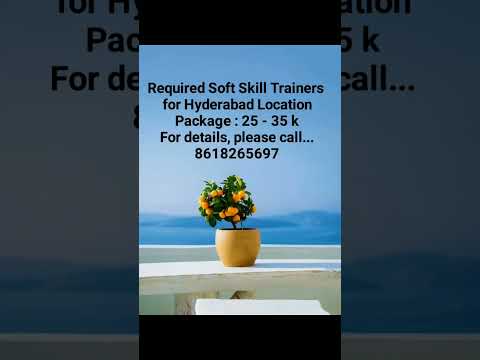 soft skills trainer job