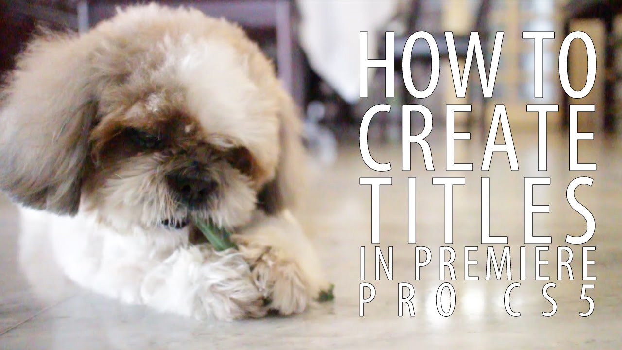 Creating Titles - Adobe Premiere Pro CS5 Video Tutorial