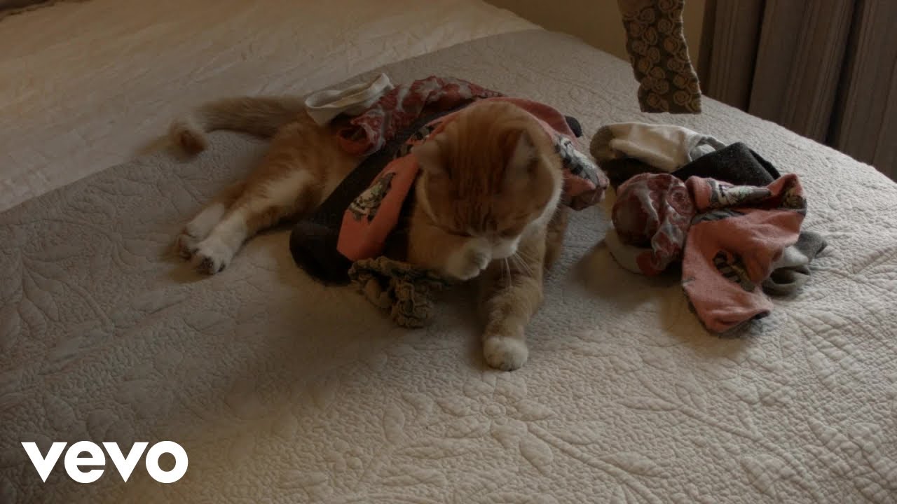 Cleo Handler - easy (Official Music Video)