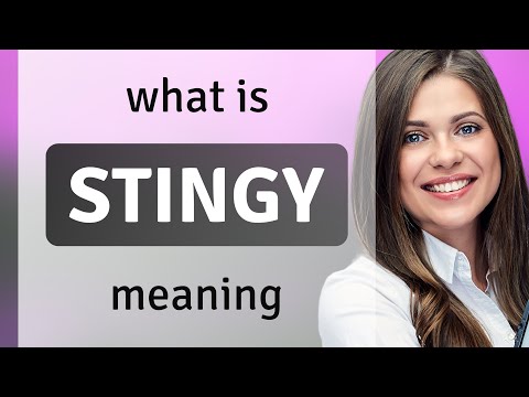 Stingy — what is STINGY definition