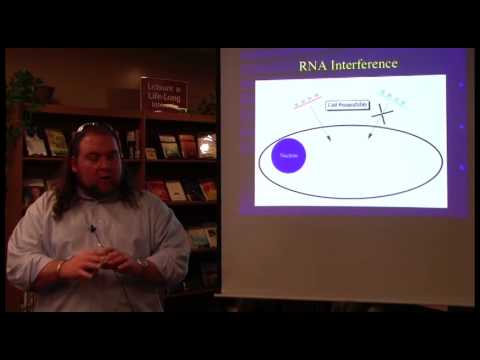 Template-Directed Synthesis for the Regulation of Gene Expression