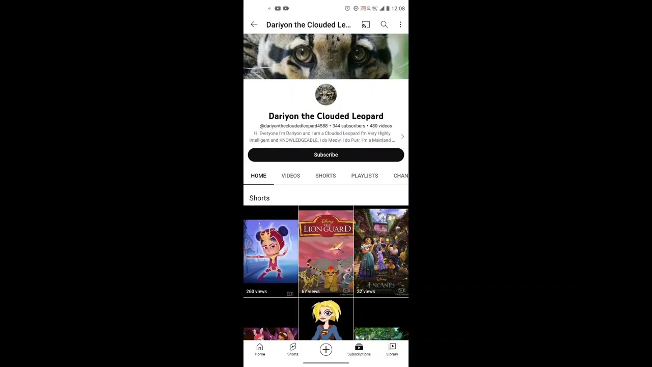 a shoutout for dariyon the clouded leopard