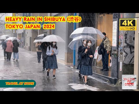 4k hdr japan travel 2024 l Heavy Rain Walk in Shibuya (渋谷) Tokyo | Relaxing Natural City ambience