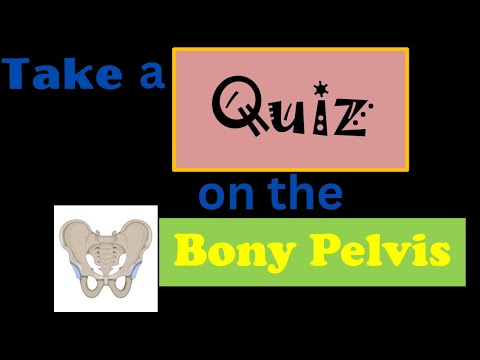 Quiz on the bony pelvis