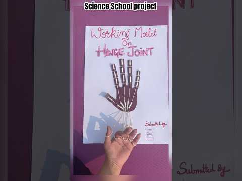 Working Model on HINGE JOINT/ Science school project/ Project based learning for school kids/ Joints