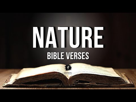 Bible Verses About Nature [KJV] | Nature In The Bible Explained