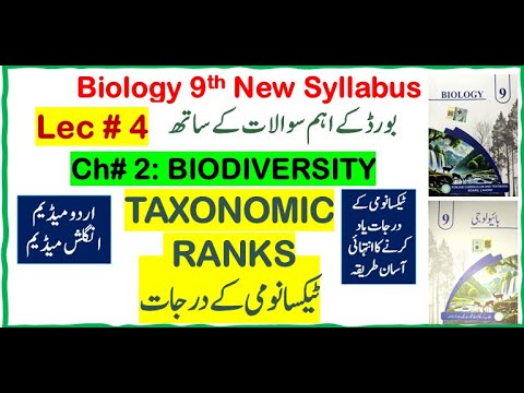 Lec 4: Taxonomic Ranks | 9th Bio Chapter 2 | Punjab Board (Urdu/English) |New Syllabus