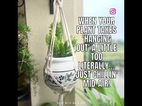 Hanging beauty : where nature meets decor. #homedecor #custommade #handmadegifts #diy #handcrafted
