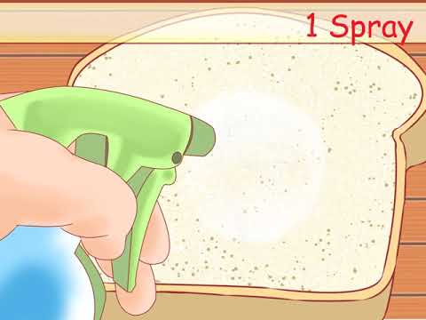 How to Grow Mold on Bread !