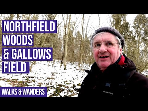 Northfield Woods and Gallows Field – walks and wanders