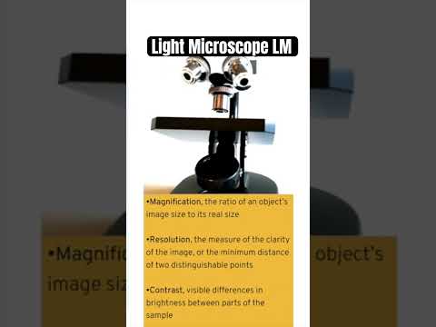 Light Microscopes 🔬 101: what does compound mean? #biology #science see full lecture!