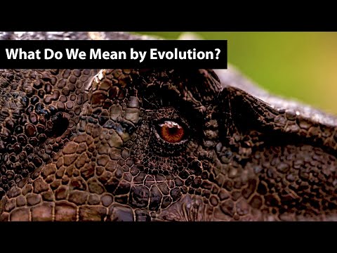 What Do We Mean by Evolution?