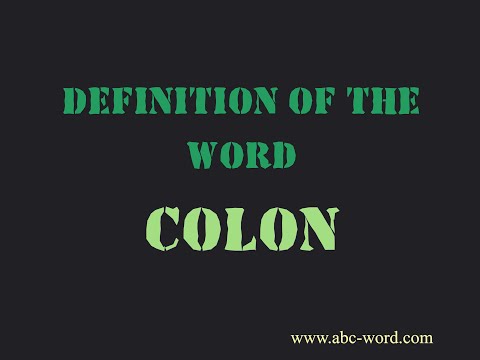 Definition of the word "Colon"