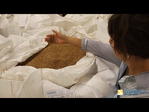 New southeast mill making flour in more traditional ways